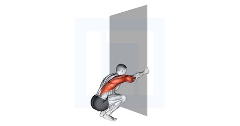 Dumbbell Reverse Grip Row Guide Benefits And Form