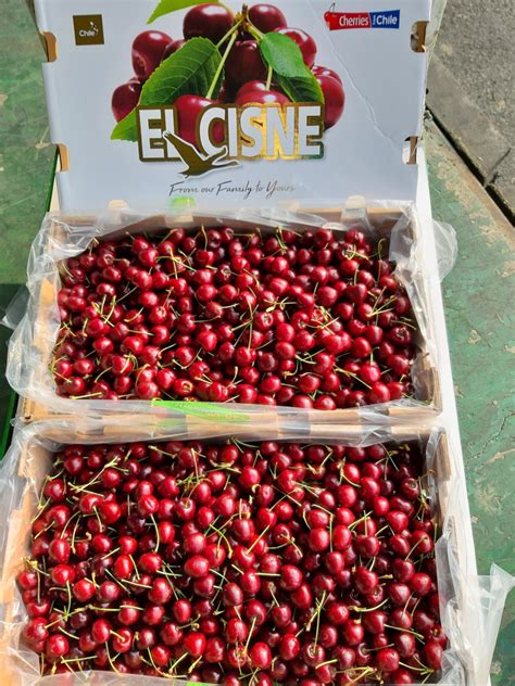 거북이농산 Band