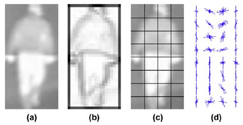 Images From The Various Stages Of Generating A Histogram Of Oriented