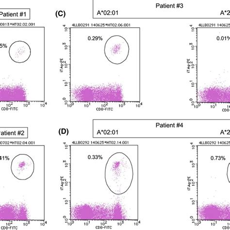 Representative Data Of Htlv‐1 Tax‐specific Ctls And T‐cell Receptor