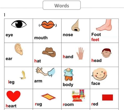 مفردات انجليزي للصف الاول الفصل الثاني سراج In 2025 Cards Save