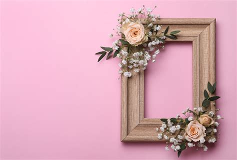 분홍색 배경에 석고 필라 꽃 유칼립투스 및 장미가있는 나무 프레임 텍스트를 위한 공간 0명에 대한 스톡 사진 및 기타 이미지 0명 꽃 나무 꽃 식물 Istock