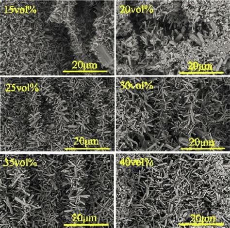 Magnification Of Sem Micrographs Of The Porous Si 3 N 4 Ceramics With
