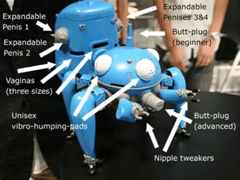 Robots The Prostitutes Of The Future Love Travel And Life