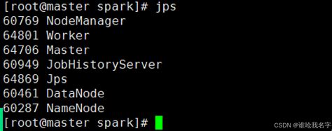 大数据应用开发——大数据平台集群部署（五）大数据应用开发 目录 Csdn博客
