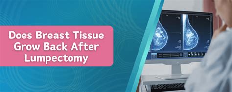 Does Breast Tissue Grow Back After Lumpectomy