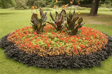 Compressed 3d Gaussian Splatting For Accelerated Novel View Synthesis