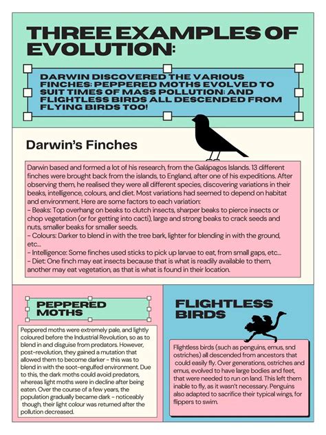 Detailed Notes On Evolution And Natural Selection For Year 7 9 Pdf