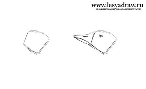 Как нарисовать гуся карандашом поэтапно Карандаш Рисование Гуам