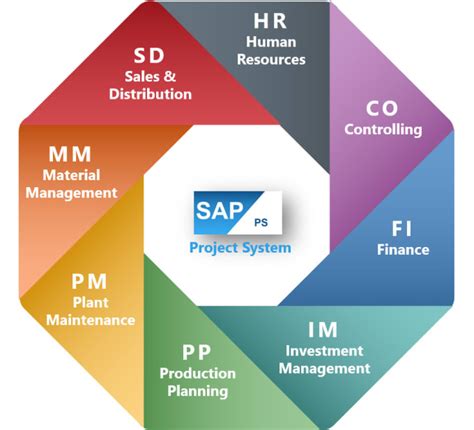 Master Data In Sap Ps At Jorge Damon Blog