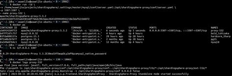 Unable To Run The Docker Image Of Shardingsphere Proxy 532 Latest