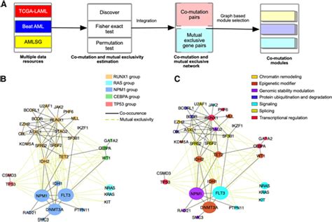 Mutation Patterns Predict Drug Sensitivity In Acute Myeloid Leukemia