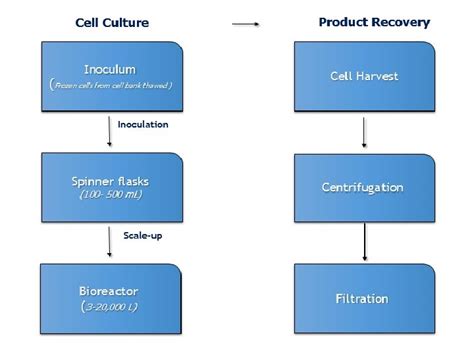 Upstream Processing Overview Mini Bioman 2017 Upstream Processing