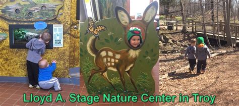 Lloyd A Stage Nature Center In Troy ⋆ Metro Detroit Mommy