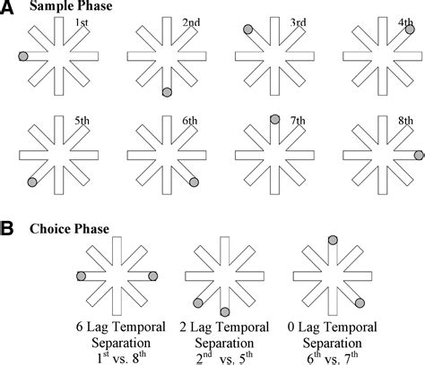the effect of interference on temporal order memory for random and