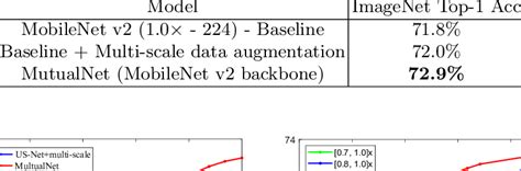 comparison between mutualnet and multi scale data augmentation