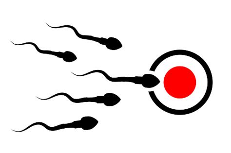 정자를 가진 계란의 수정 정자 세포 지도자 계란을 향해 실행 하는 정자 이동 정자의 배경 벡터 일러스트레이션 정자에 대한 스톡 벡터 아트 및 기타 이미지 Istock
