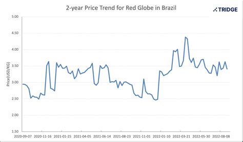 트릿지 브라질에 이집트 포도 수출이상 기후 영향