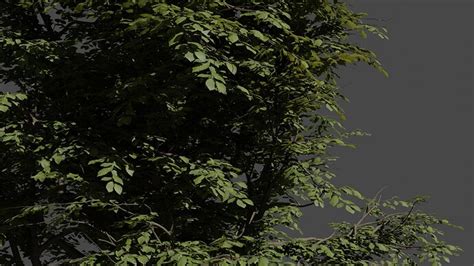 Modular Tree 1128 By Yeganegi Released Scripts And Themes