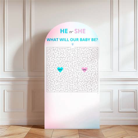 Gender Reveal Maze Backdrop Arch Bond Party