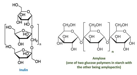 Inulin Structure Inulin High Grade Prebiotic Fibre Powder 1 Kg