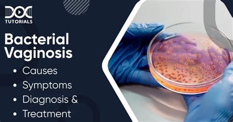 Bacterial Vaginosis Bv Causes Symptoms Diagnosis And Treatment