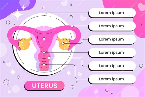성교육 인포그래픽 디자인 무료 벡터