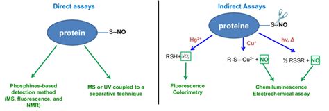 Strategies For Direct And Indirect Detection Methods Download Scientific Diagram