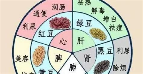 養好了五臟就等於養好了全身五臟六腑決定你的壽命