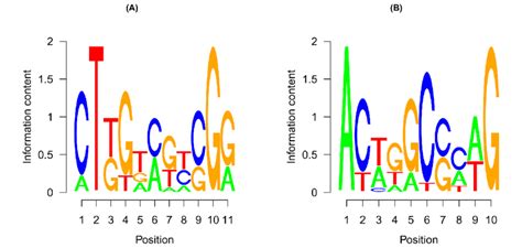 Predicted Motifs Of The Cooperative And Competitive Binding Sites The Download Scientific
