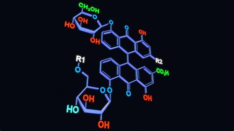 Mucilage Structure 3d Model
