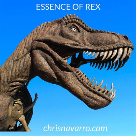 Casper Wy Is My Home Town And I Am Very Honored To Have 16 Of My