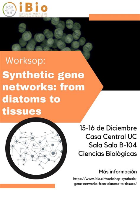 Worksop Synthetic Gene Networks Sociedad De Bioquímica Y Biología Molecular De Chile