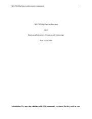 Assignment Docx CISC Big Data Architectures Assignment CISC Big Data Architectures