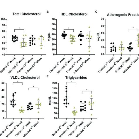 Serum Lipid Profile Of Experimental Groups Graphics Represent The
