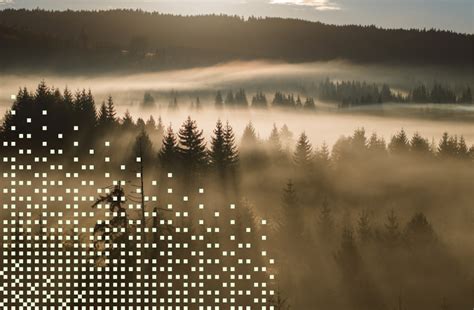 The Essential Guide To Internal Audit And Controls