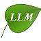 Local Llama Llm Ai Chat Query Tool Chrome Web Store