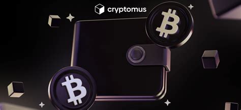 비트코인 지갑이란 무엇이며 어떻게 작동합니까 완벽 가이드