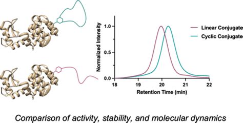 Open Access Articles