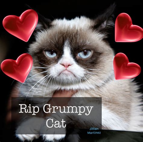 Rip Grumpy Cat Blank Template Imgflip