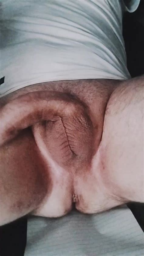 Morning Poo Video 15 En Anglais