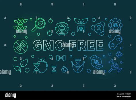 Gmo Free Vector Colorful Linear Horizontal Illustration On Dark Background Stock Vector Image