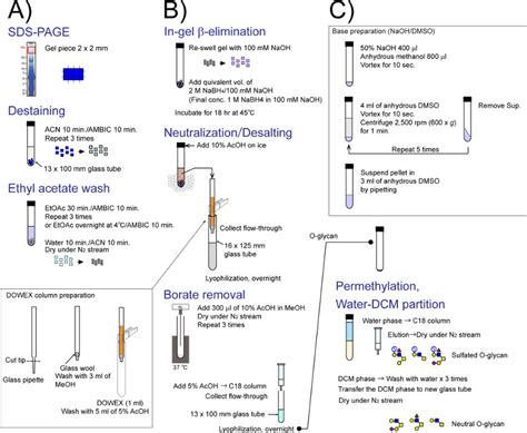 Improved In Gel Reductive β Elimination For Comprehensive O Linked And Sulfo Glycomics By Mass