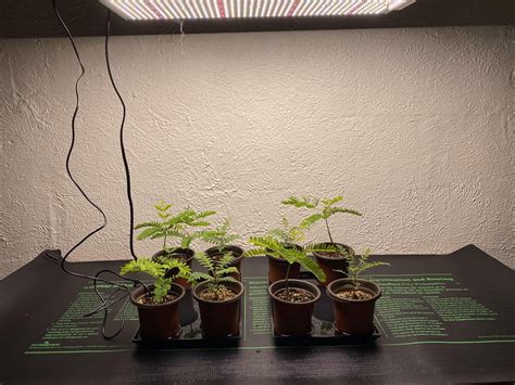 Made An Arduino Controlled Terrarium With Mist Maker Lights And