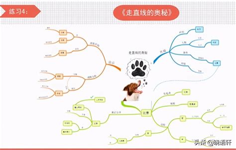 思维导图系列（7）文章分析之记叙文 正数办公