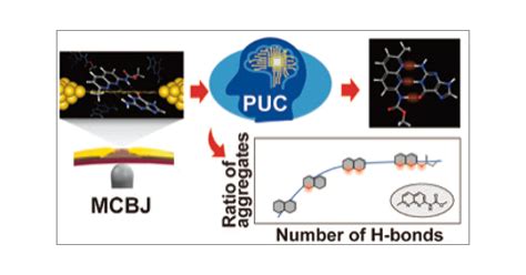 Quantitative Microscopic Observation Of Base Ligand Interactions Via Hydrogen Bonds By Single