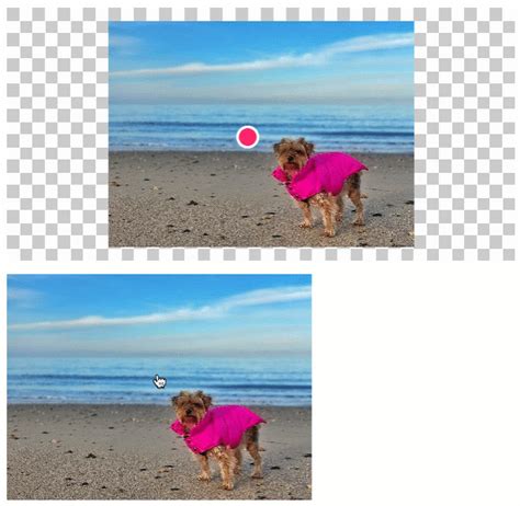 Centering An Image Annotating Using Graphicsmagick And Lucee Cfml 52931