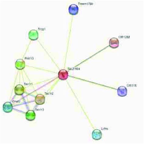Protein Protein Interaction By String Download Scientific Diagram