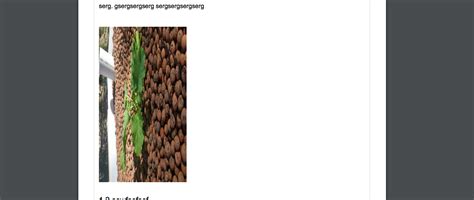 Some Images Are Auto Rotated When I Use Addimage Function · Issue 2815