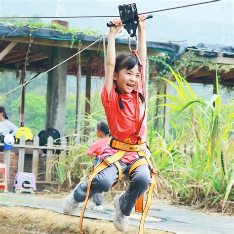 首页 子趣研学